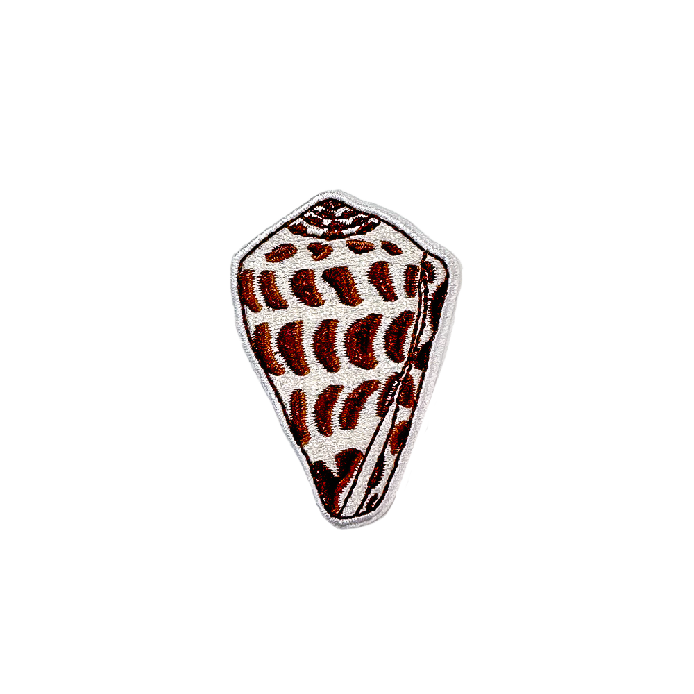 Hebrew Cone Shell – Da Sistah Marys